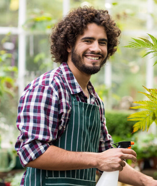 Our Team - Seeds Digital